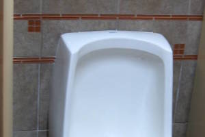 Toilet Installation, Toilet Repair & Urinal Replacement Plumber