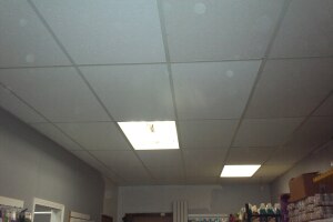 Reseda Drop Ceiling Tile Installed & T Bar Grid Repaired