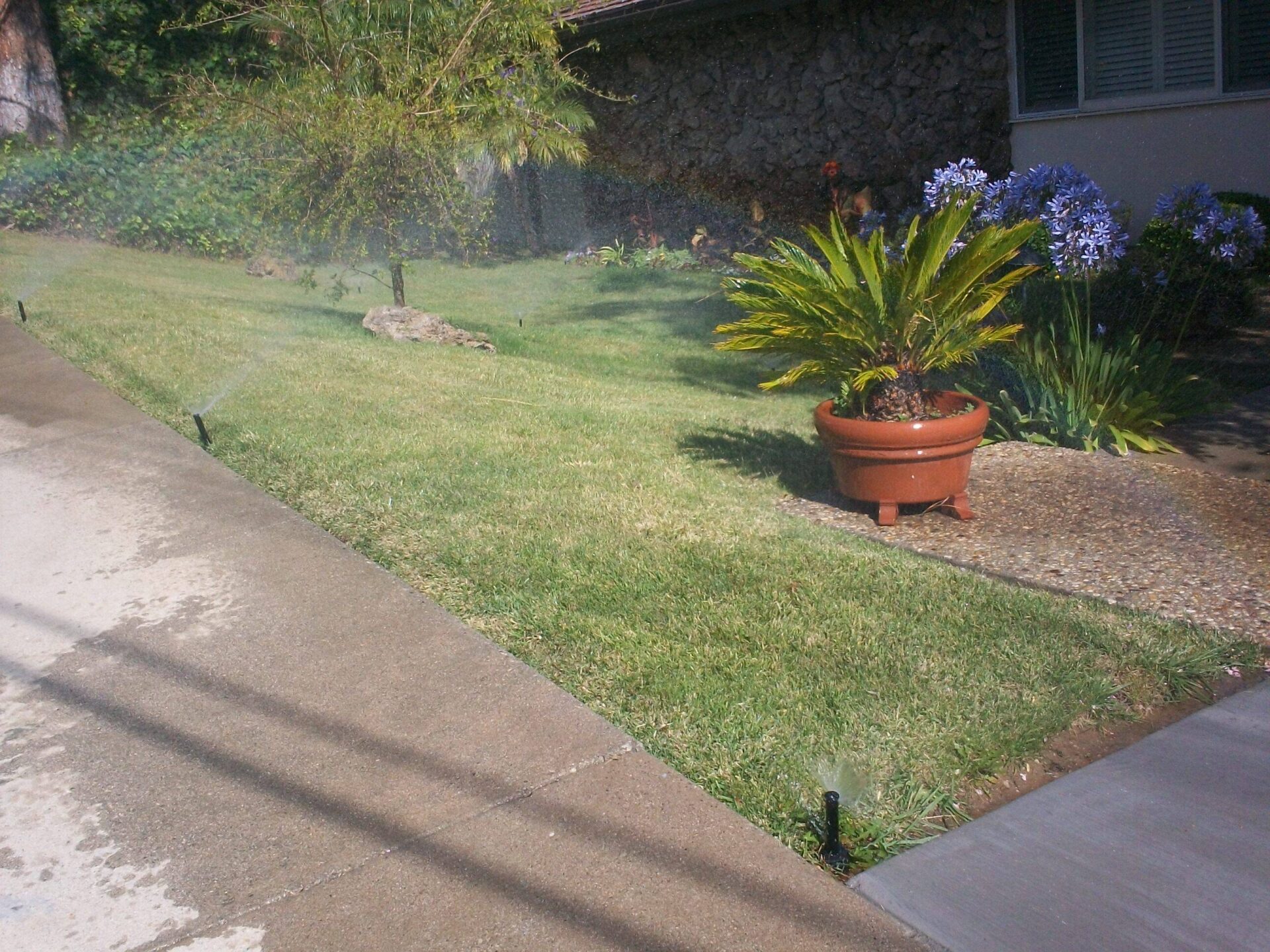 Landscape Sprinkler Repair, Drip System Installation & Replacement